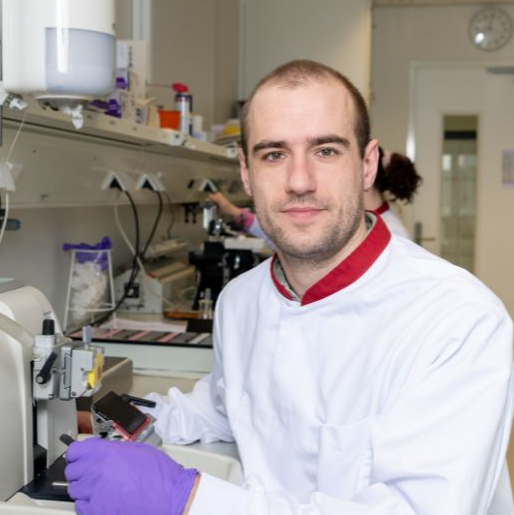 Amsterdam UMC, Locatie VUmc - Subsidie voor nieuw kweekmodel voor ...